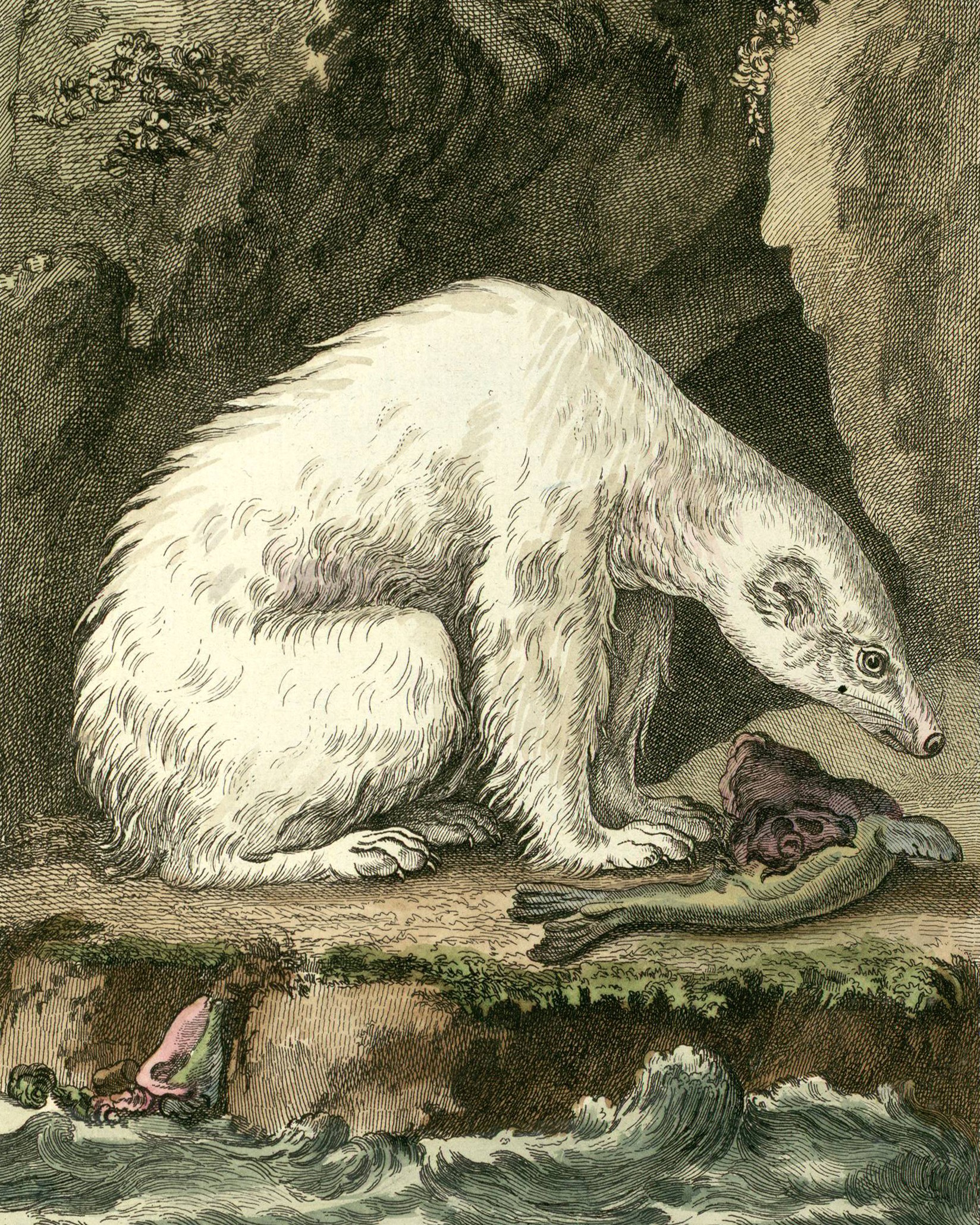 Darwin’s Polar Bear | Time to Eat the Dogs